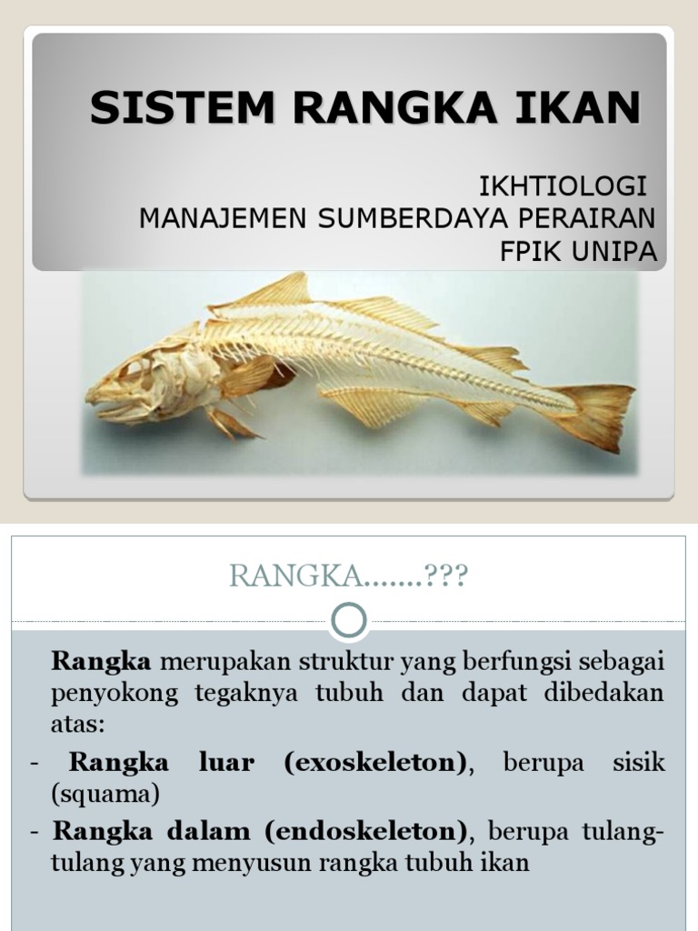 SISTEM RANGKA IKAN | PDF