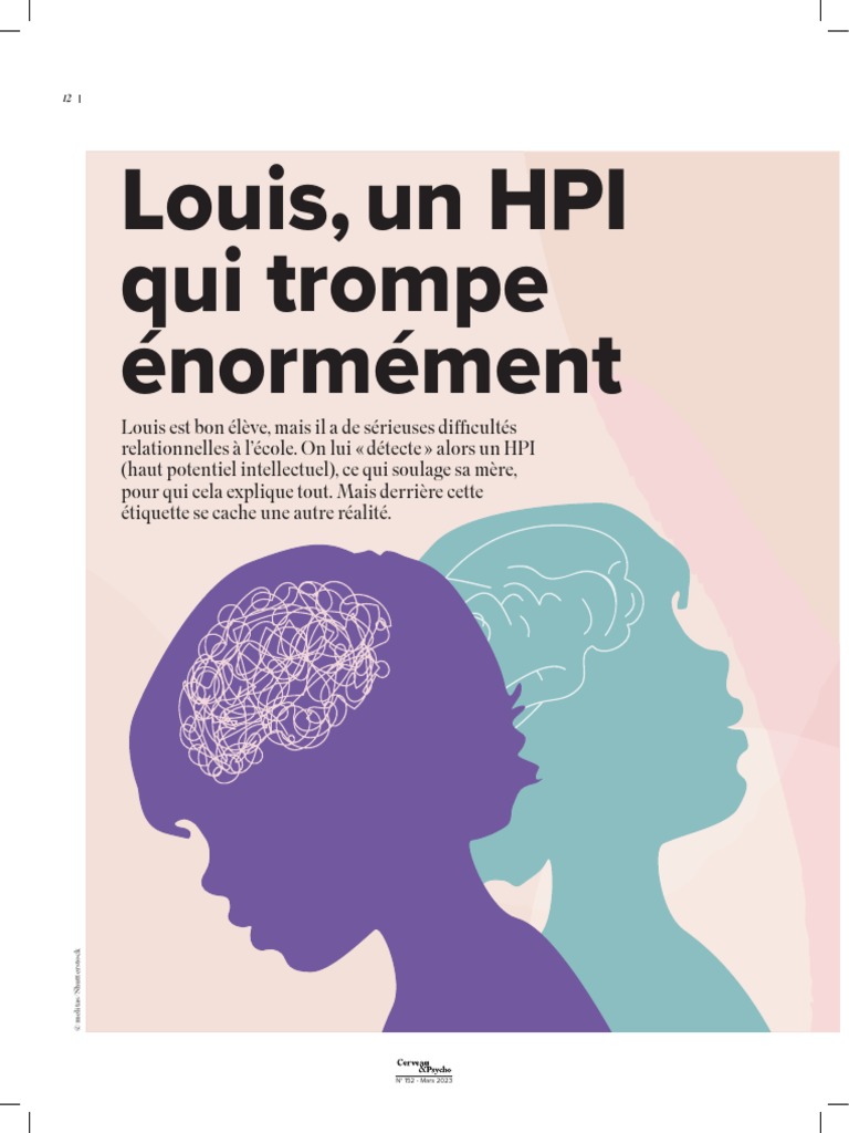 Qu'est Ce Qu'un HPI | PDF