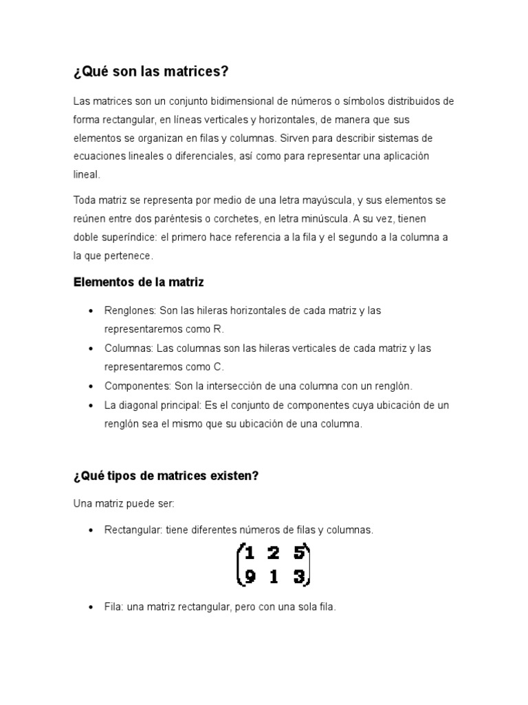 Qué Son Las Matrices | PDF Qué Son Las Matrices | PDF