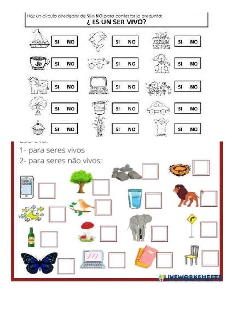 Seres Vivos y Seres No Vivos | PDF
