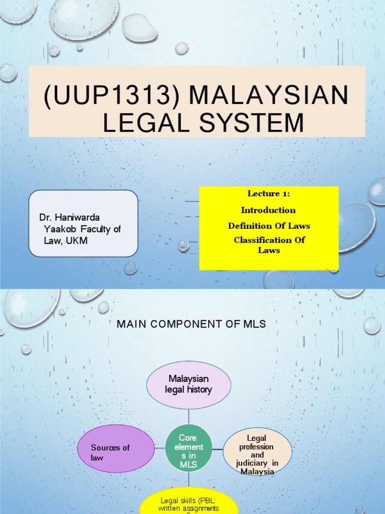 MLS (Introduction) | PDF