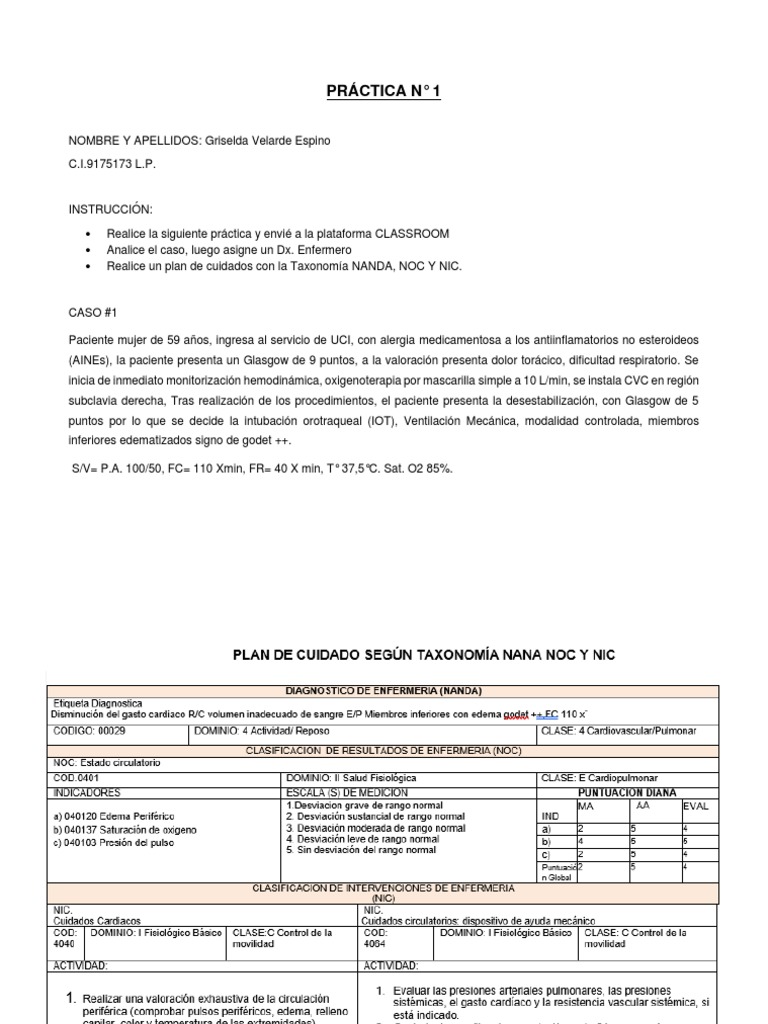 PRÁCTICA Nro 1 - Griselda Velarde | PDF