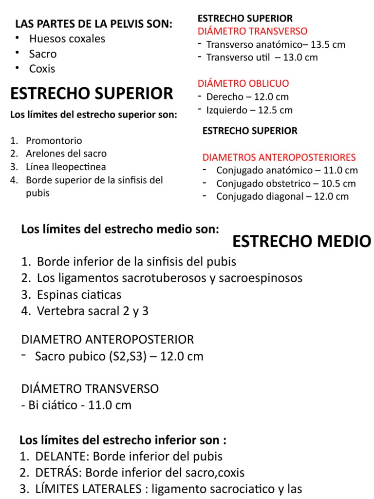 Anatomía de la Pelvis: Diámetros y Límites | PDF | Ciencia y matemáticas