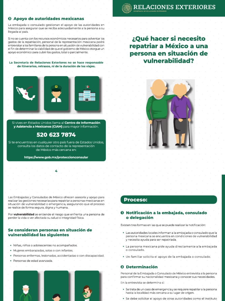 Repatriacion | PDF