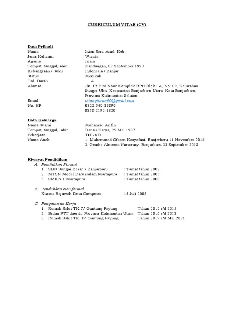 Curriculum Vitae Intan | PDF