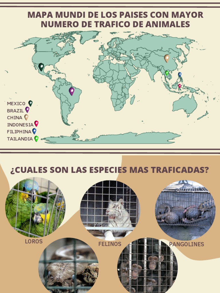 Mapa Mundi de Los Paises Con Mayor Numero de Trafico de Animales | PDF