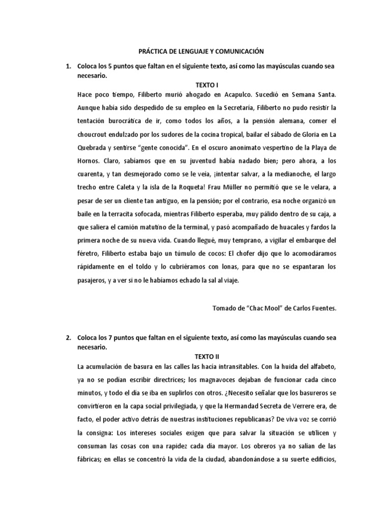 Práctica de Lenguaje y Comunicación La Coma y El Punto | PDF