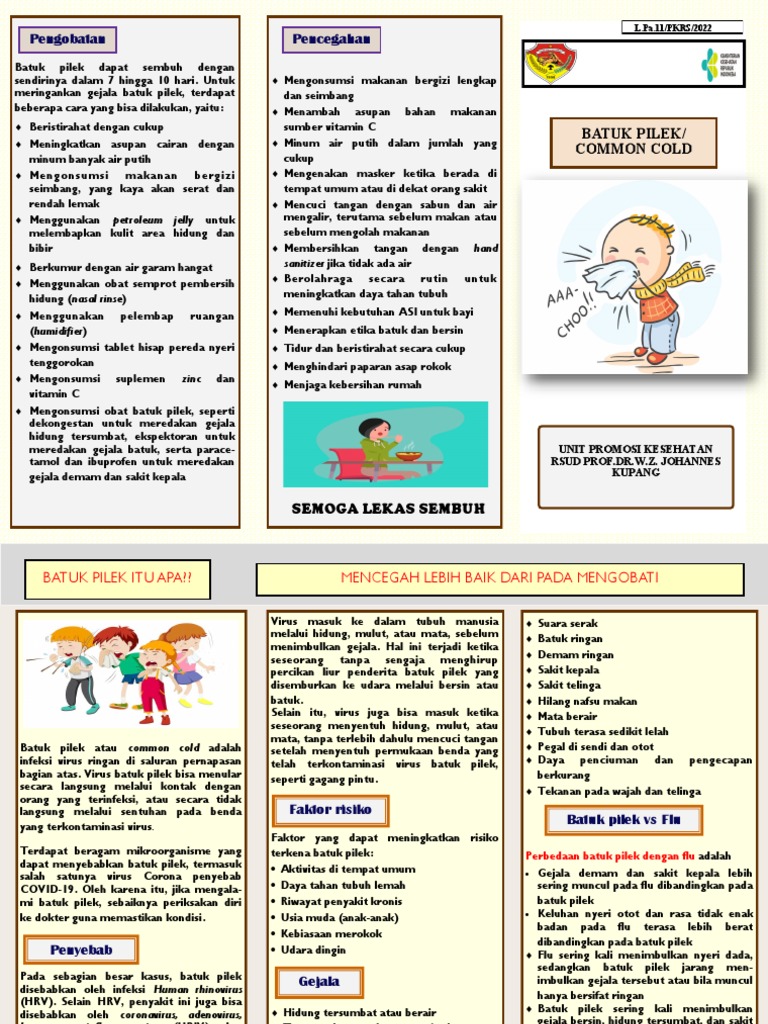 Batuk Pilek Pada Anak | PDF