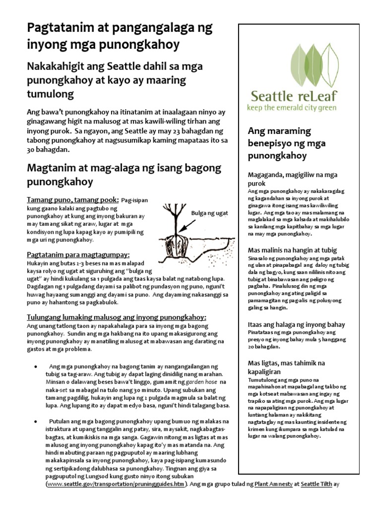 Tagalog - Tree Brochure | PDF