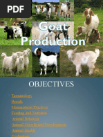 Your Goats Normal Vital Signs Fudetb | PDF | Goat | Thermoregulation