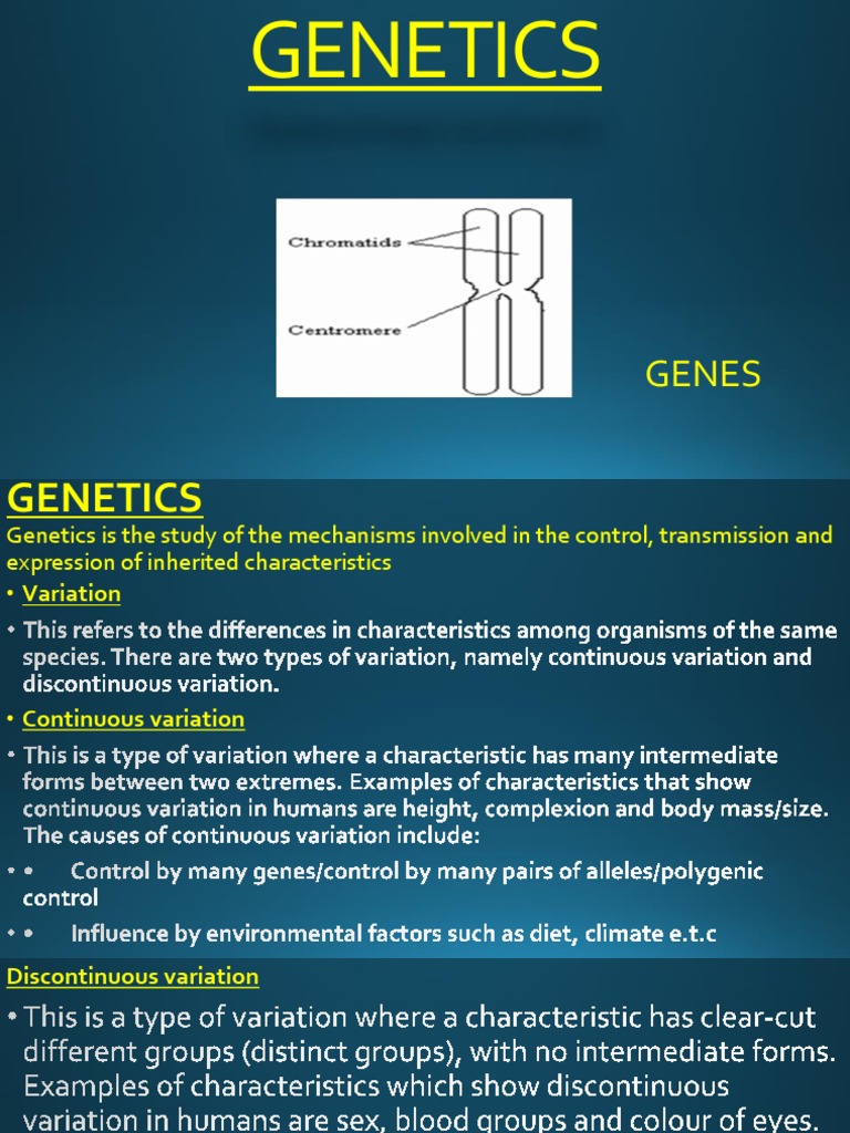GENETICS Lesson | PDF | Dominance (Genetics) | Zygosity