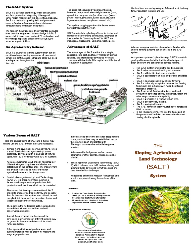 The Salt System Leaflet | PDF | Agriculture | Natural Environment