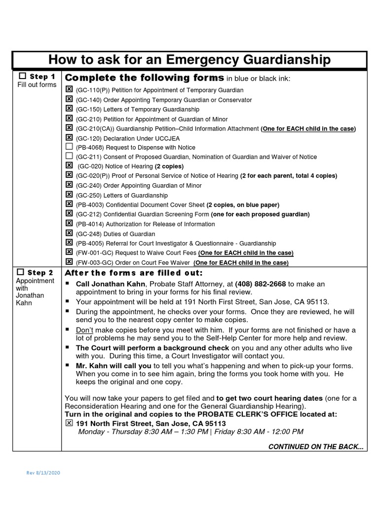 Next Steps and Instructions - Santa Clara | PDF | Legal Guardian | Justice