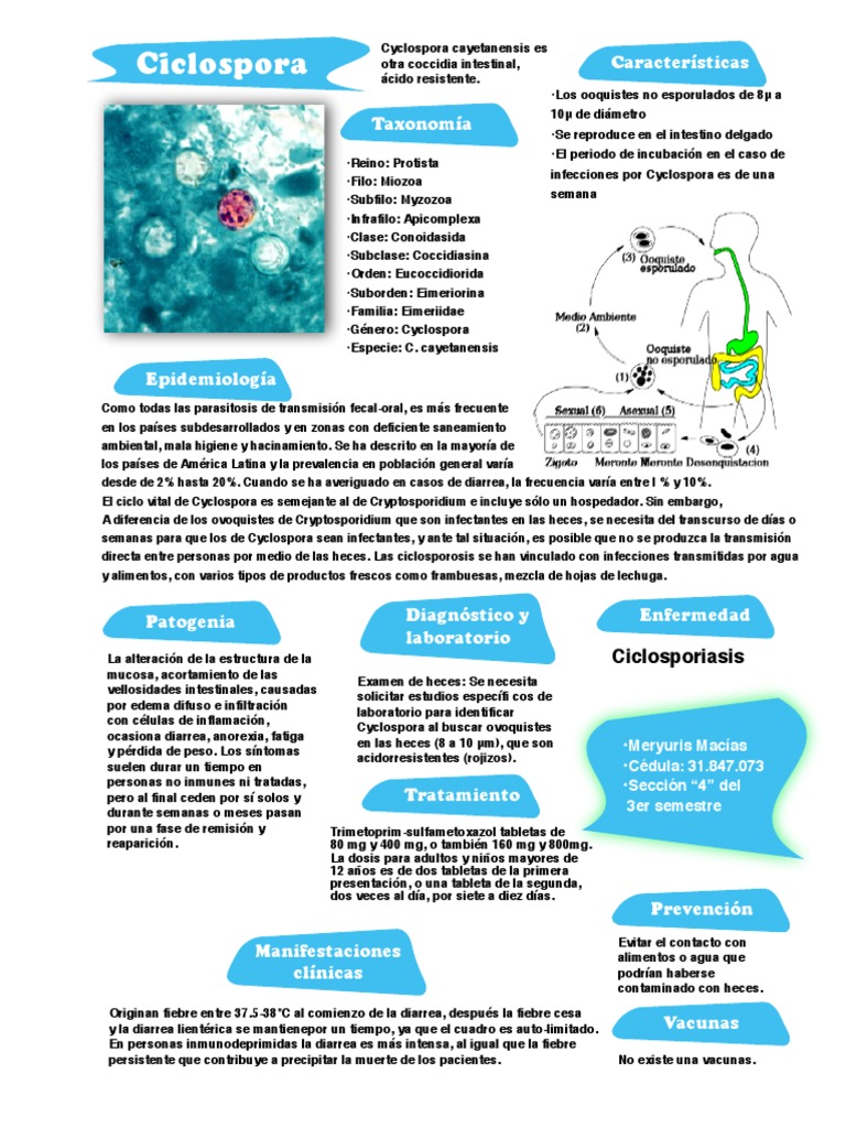 Cyclospora cayetanensis: Patogenia y Tratamiento | PDF | Especialidades ...