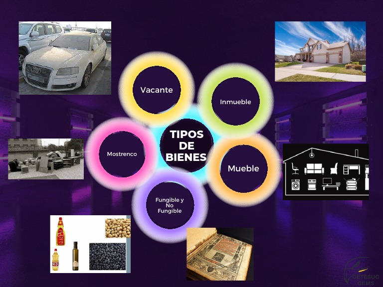 Tipos de Bienes: Mueble y Mostrenco | PDF