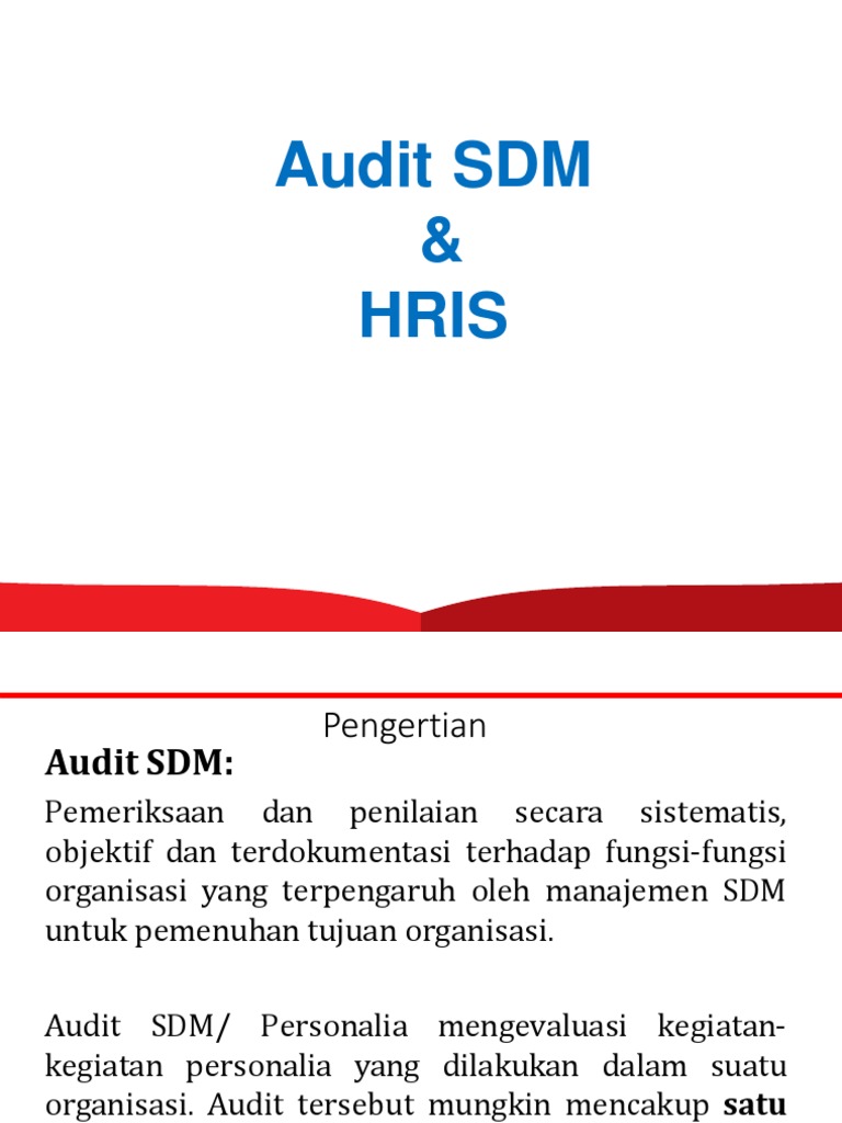 Audit SDM - HC | PDF | Karier & Perkembangan