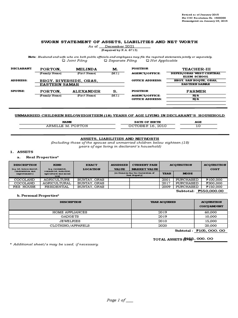 Saln Sample | PDF | Net Worth | Business