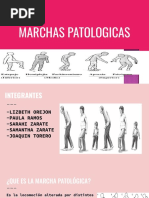 Signo del Témpano y Fabela en Rodilla | PDF | Rodilla | Pie