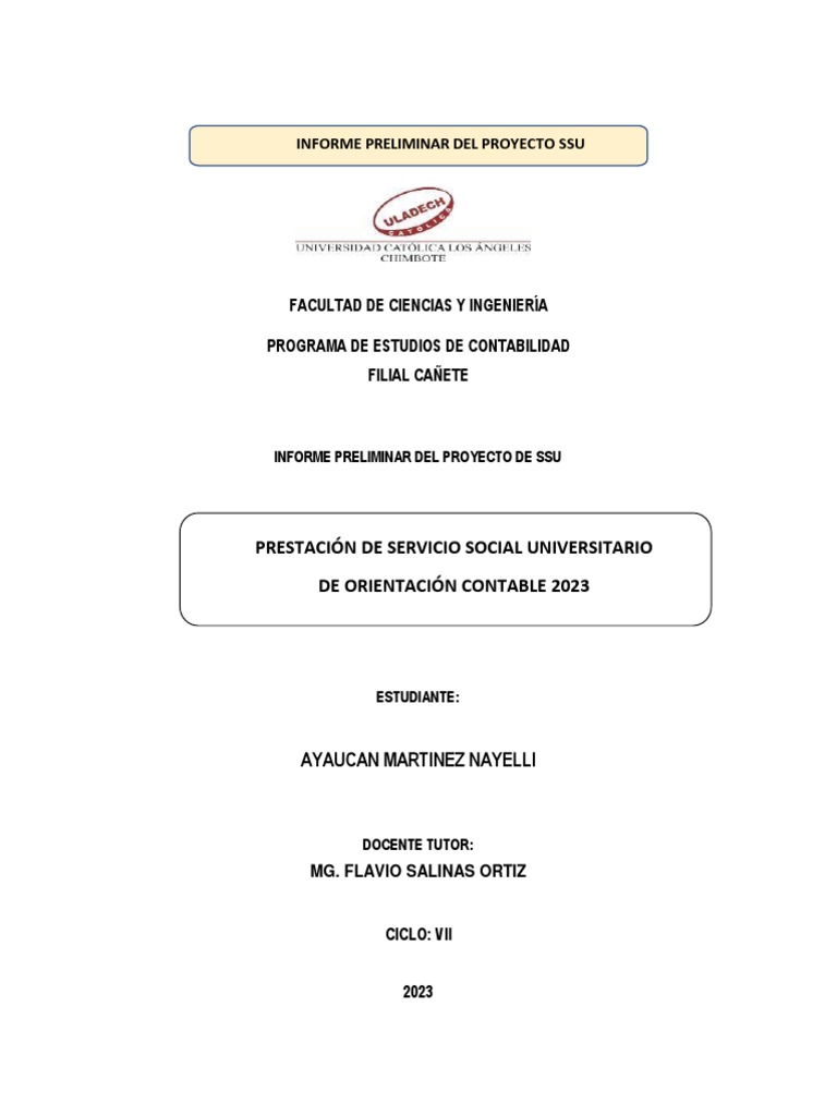 Formato Del Informe Preliminar (1) | PDF | Contabilidad | Business