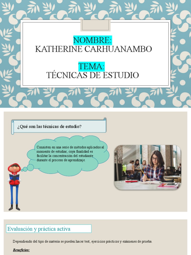 Técnicas de Estudio | PDF | Habilidades de estudio | Aprendizaje