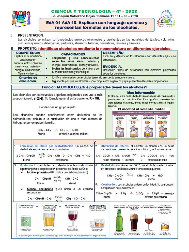 AdA #10 - Alcoholes | PDF