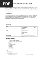 CALCULO DE UREA A PARTIR DE BUN y de BUN A PARTIR DE UREA | PDF