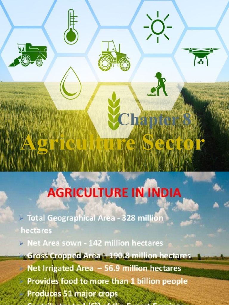 Agriculture Sector | PDF | Agriculture | Fertilizer