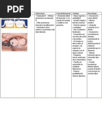 Protocolo Impresión Definitiva para Protesis Total | PDF | Dentadura ...