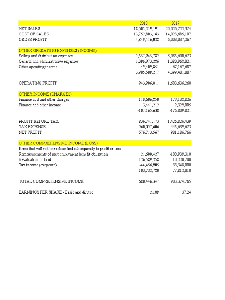 Cdo Financial Statements 2018-2021 | PDF