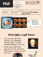 Grade 11 Science Short Notes PDF | PDF | Kidney | Urinary System
