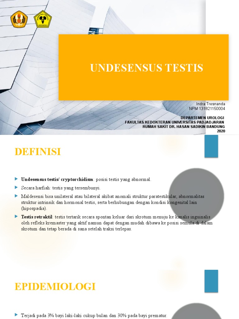 38. Undesensus Testis-it | PDF