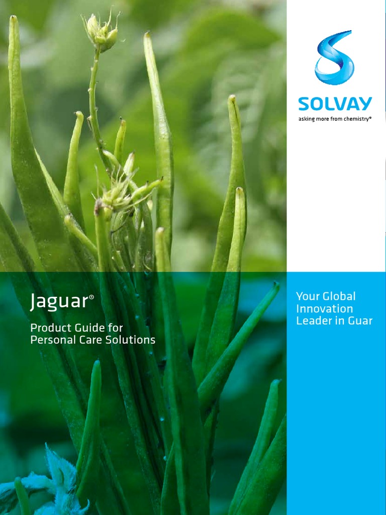 Jaguar® - Product Guide For Personal Care Solutions | PDF