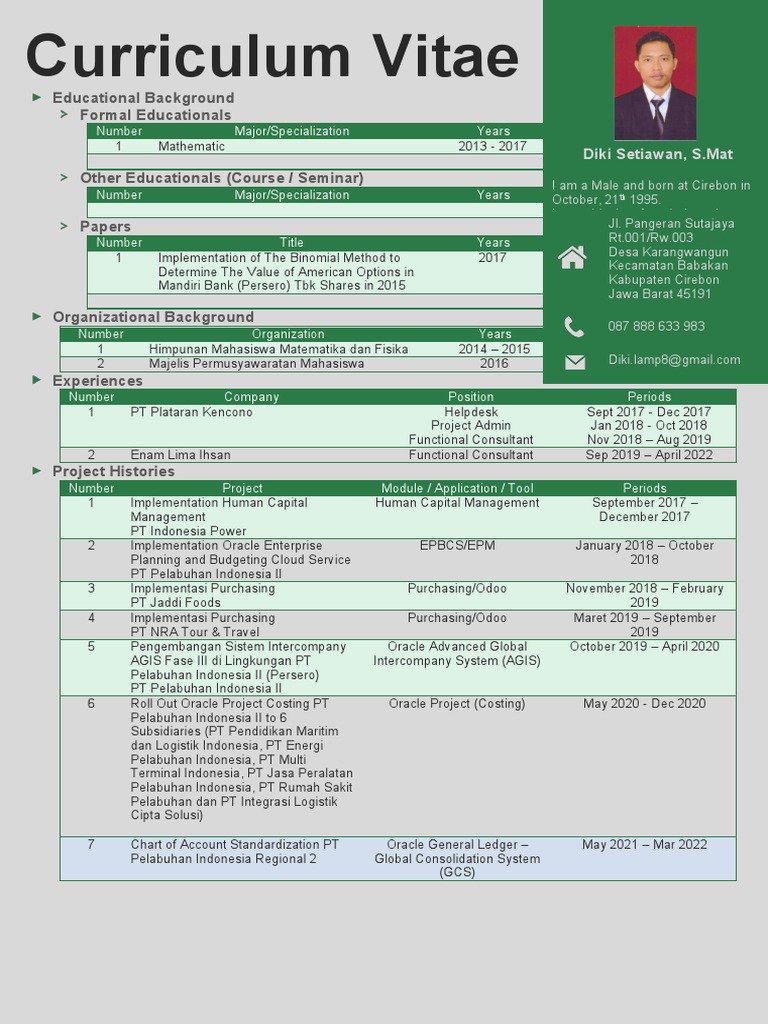 CV Diki+Setiawan+updated+22+Juni+2022 | PDF | Business Process | Systems Engineering