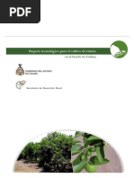 Manual para El Establecimiento de Una Huerta de Aguacate | PDF | Aguacate | Fertilizante