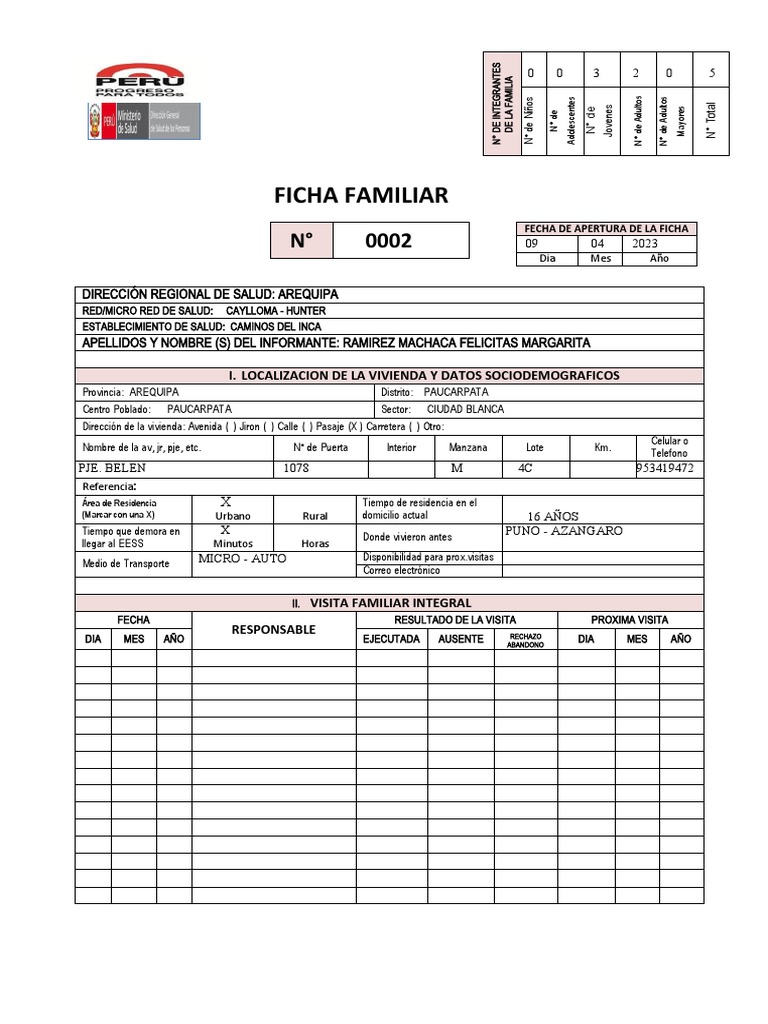 Formato de Ficha Familiar (222 | PDF | Familia | Adultos