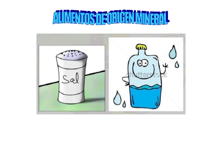 ALIMENTOS DE ORIGEN MINERAL | PDF