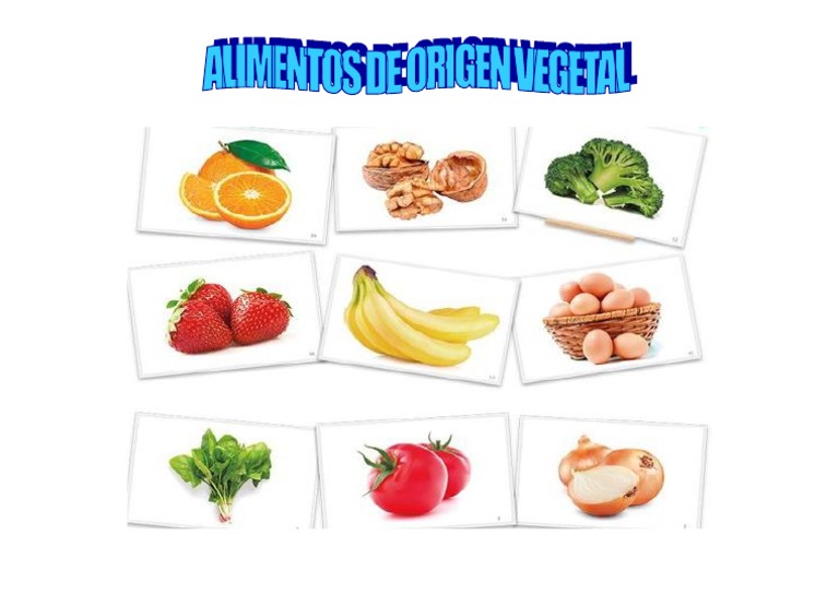 ALIMENTOS DE ORIGEN VEGETAL | PDF