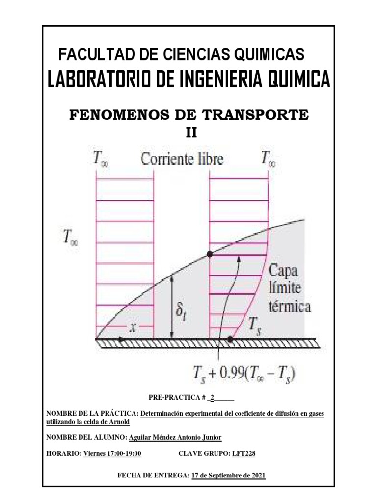 Pre2 - Determinacion Experimental Del Coeficiente de Difusión | PDF | Difusión | Gases
