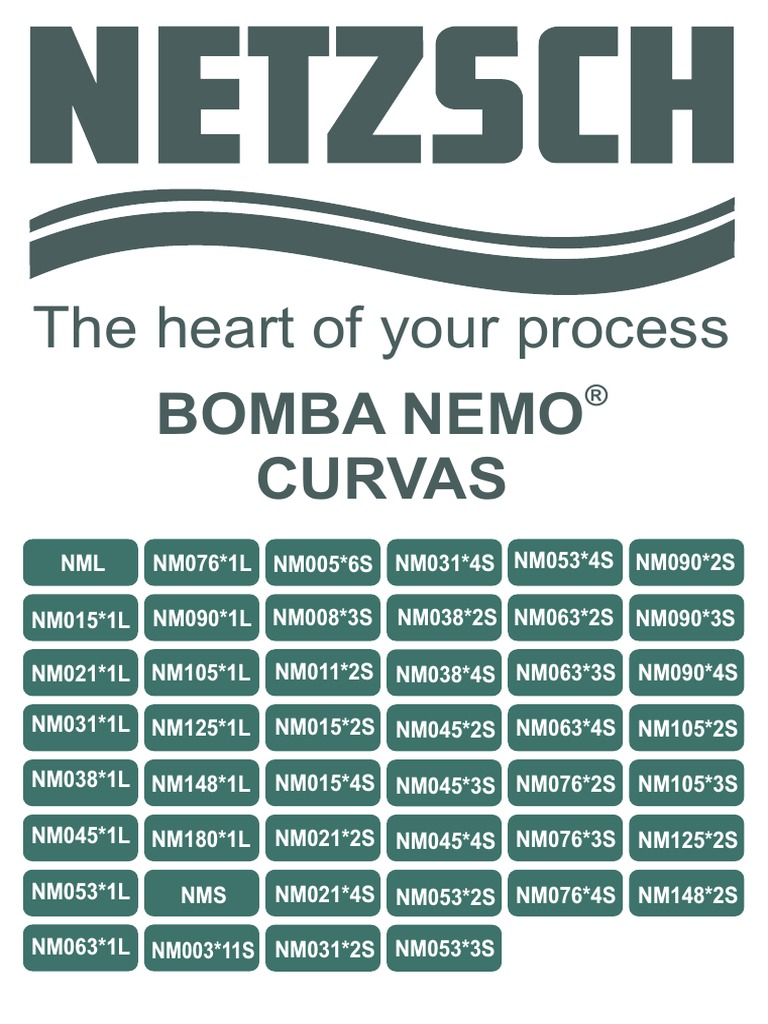 Curvas Netzsch | PDF
