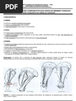 Nomes de 100 Músculos Do Corpo Humano | PDF | Sistema Locomotor ...