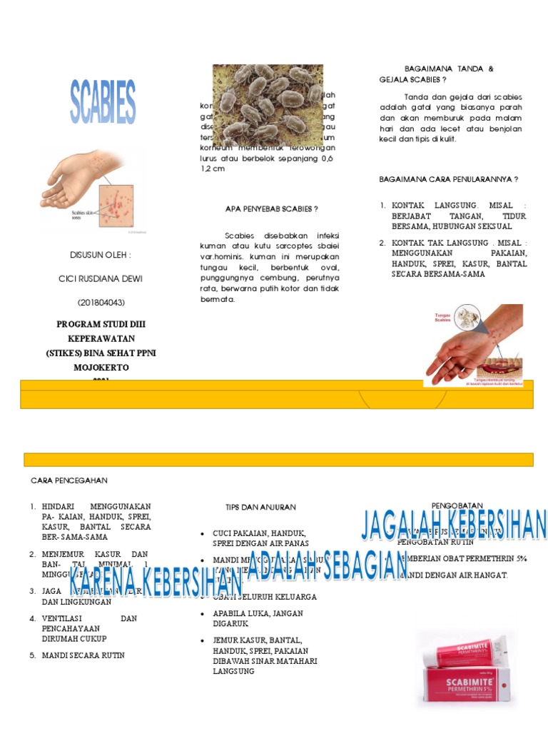 Leaflet Scabies Cici Rusdiana 201804043 | PDF | Kesehatan Holistik