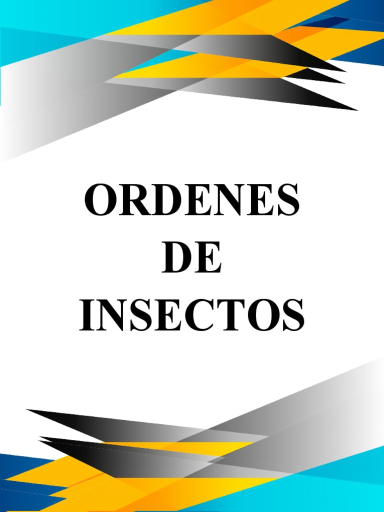 Ordenes de Insectos | PDF