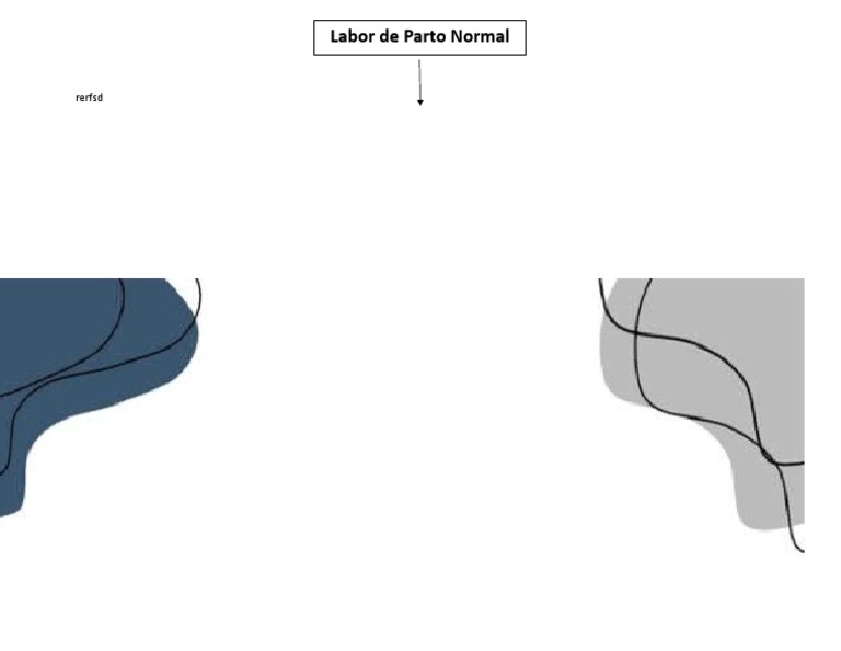 Mapa Conceptual Obstetricia | PDF