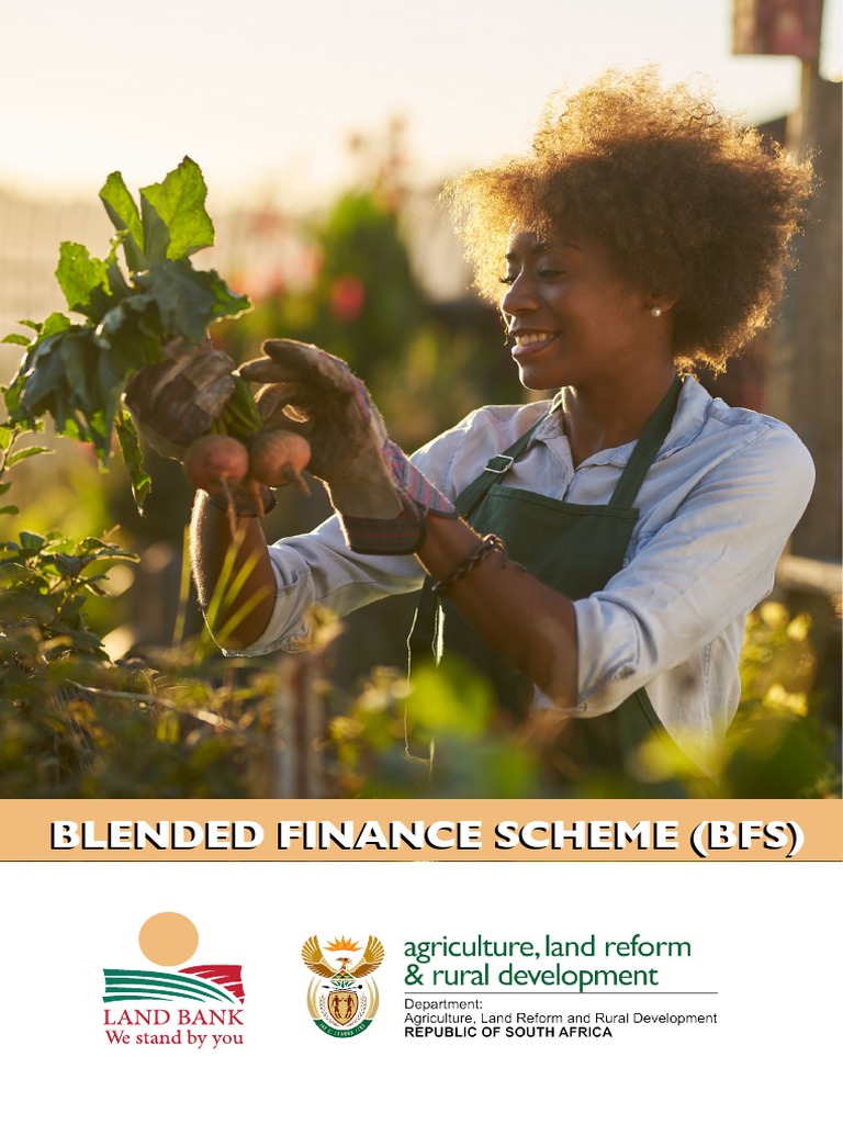Blended Finance Brochure | PDF