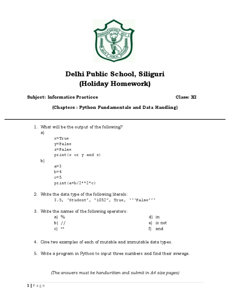 Class11 Holiday Homework Informatics Practices | PDF
