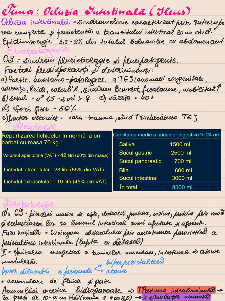 Ocluzia | PDF