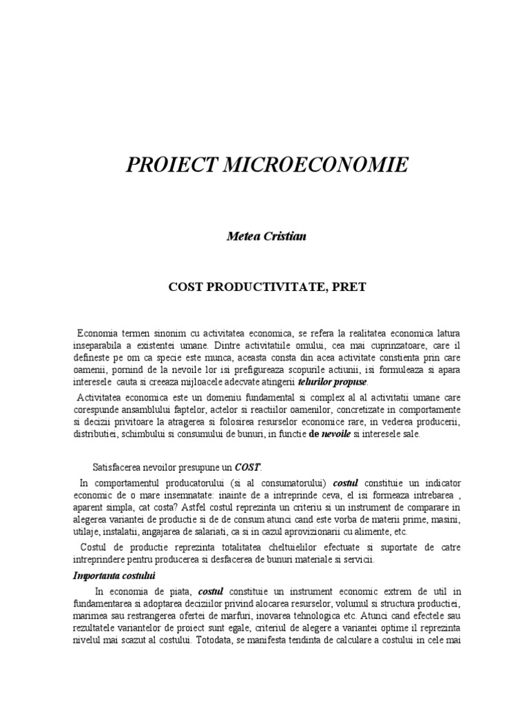 Proiect Microeconomie | PDF