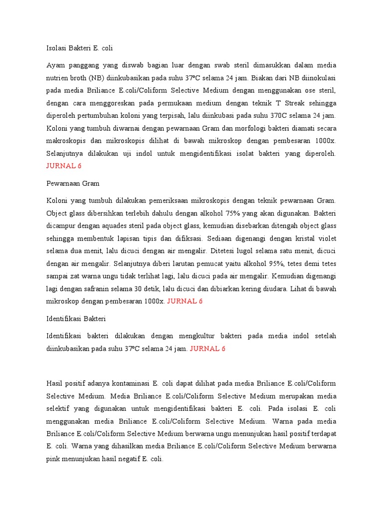 Isolasi Bakteri E | PDF