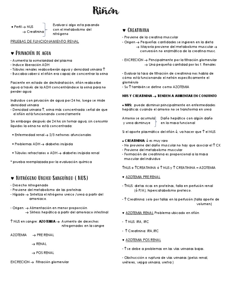 Evaluación de Función Renal y Azotemia | PDF | Riñón | Orina