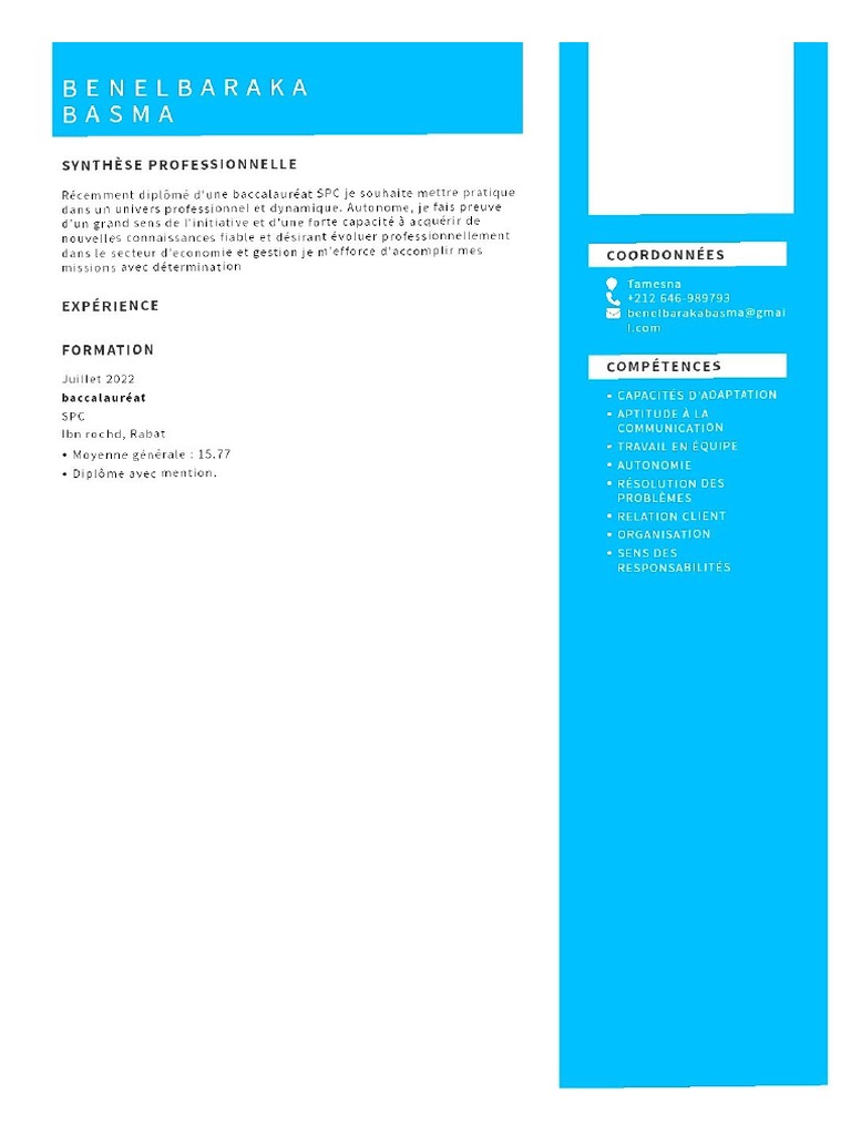 CV Ayman Benayad 2 | PDF